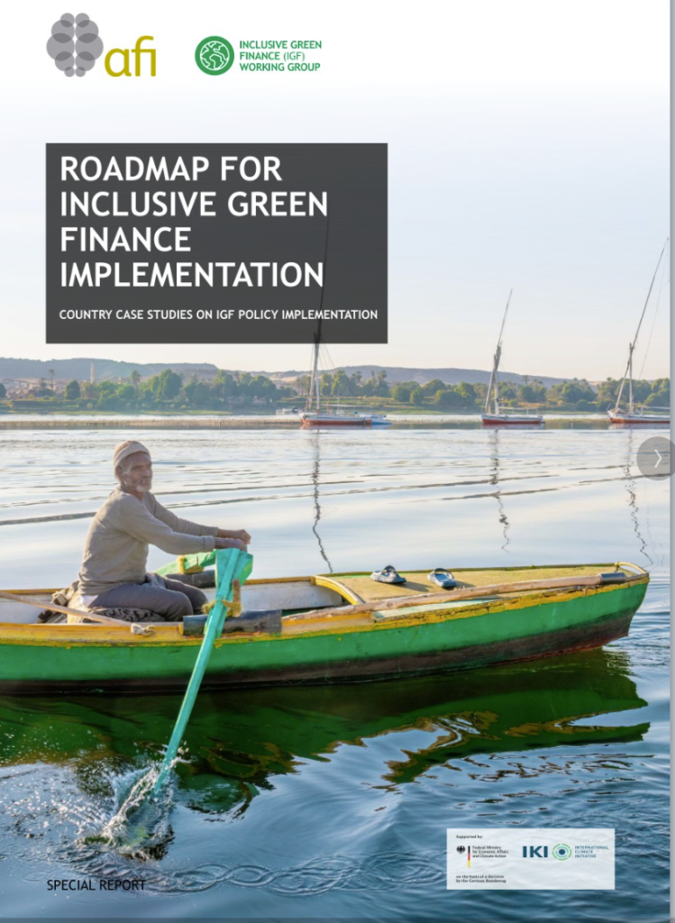 Journey toward a greener, more inclusive financial system – Amarante ...